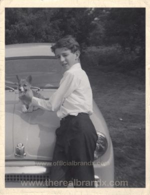 Frank Katz - Official Brand X